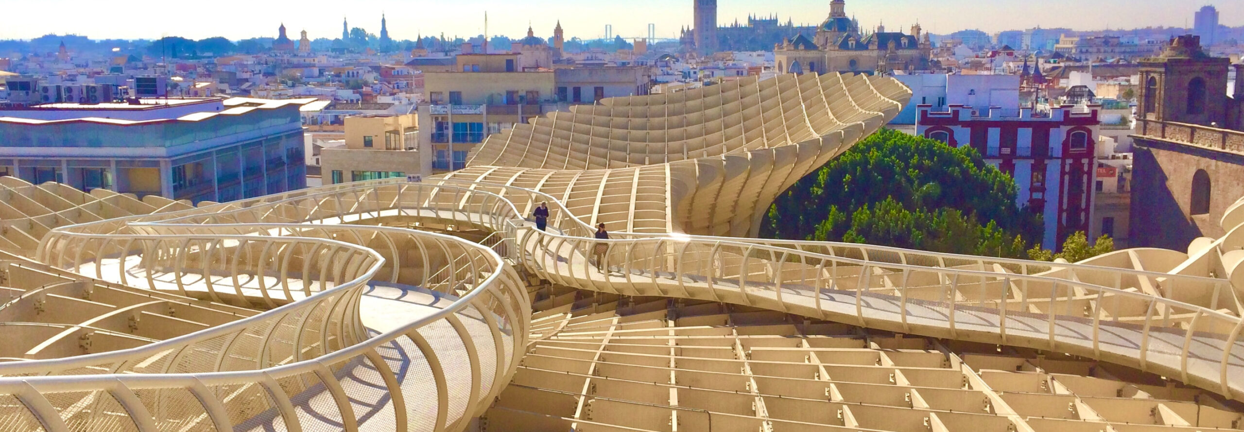 News, Insights & Events | Financial News - Therium