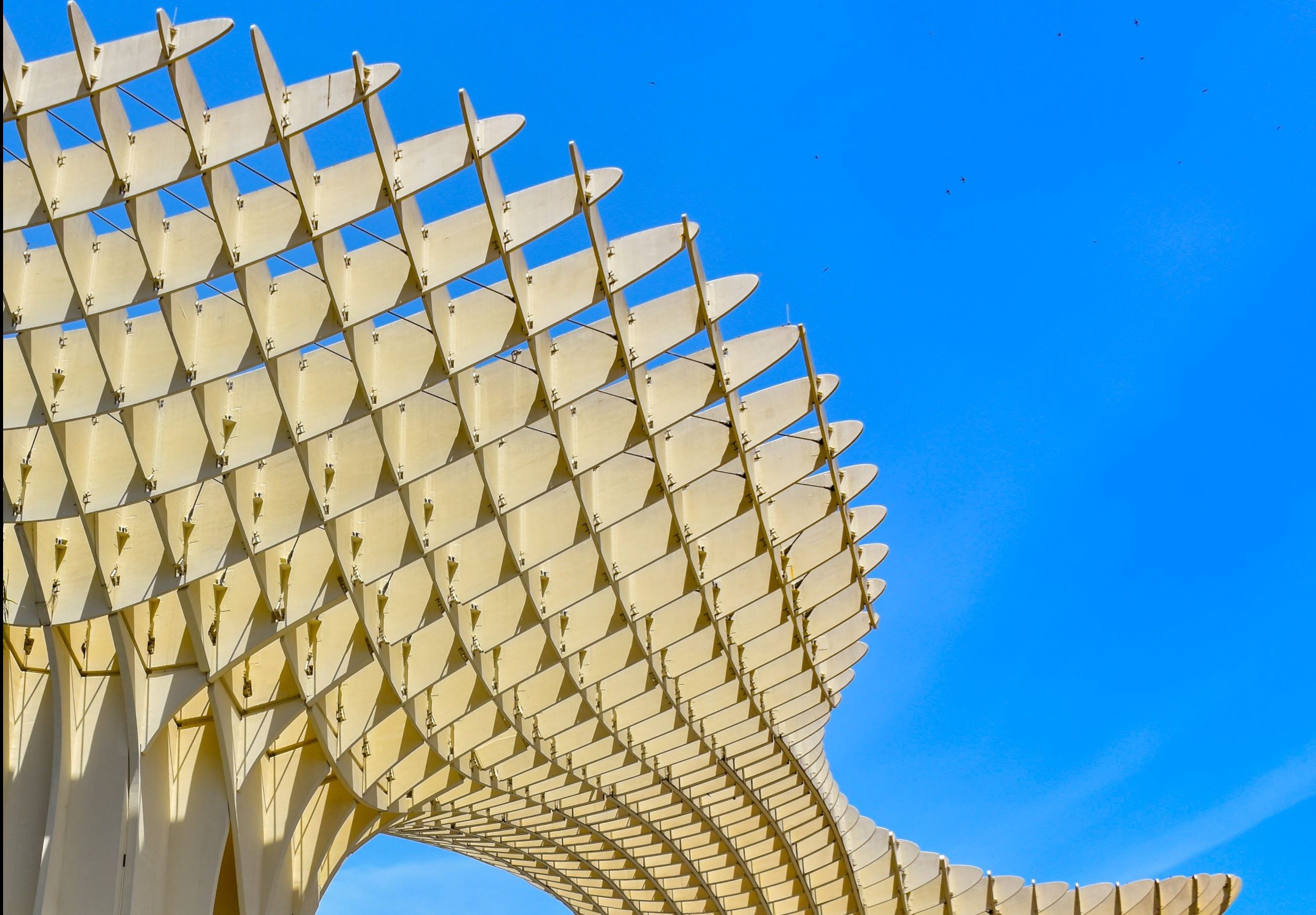 Therium Capital Advisors - Therium